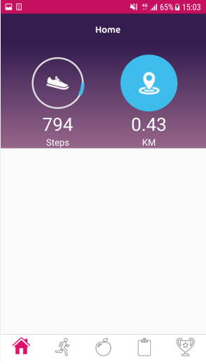GitHub - francislainy/fit: Simple project template for retrieving ...