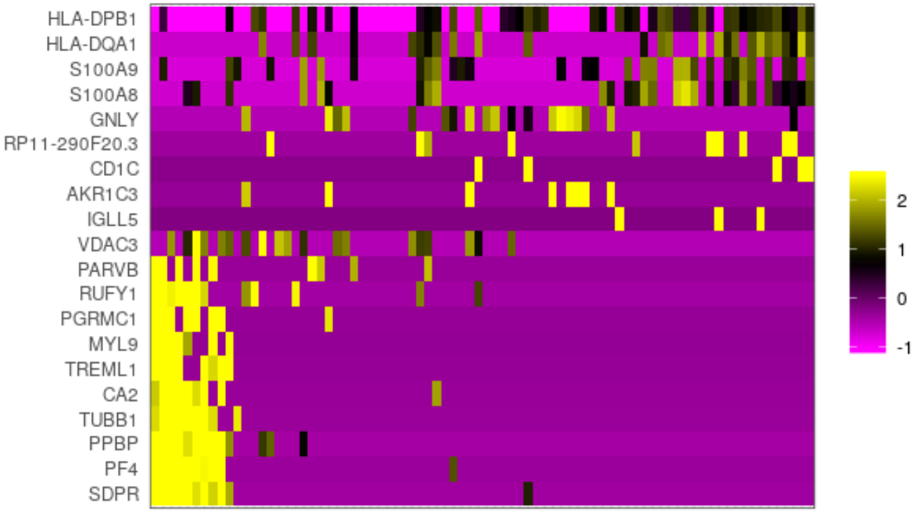 How to change the order of genes in DimHeatmap() plot in Seurat V3 ...