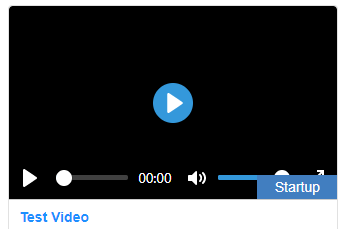 Hide the lower control options before playing the video. · Issue #629 · sampotts/plyr · GitHub