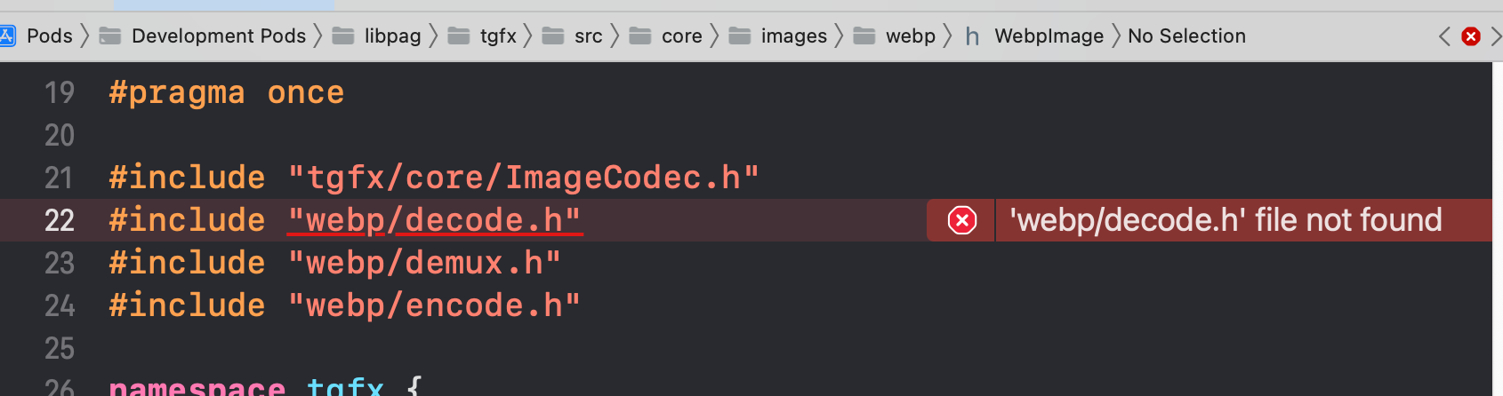 使用xcode打开demo工程不能build · Issue #631 · Tencent/libpag · GitHub