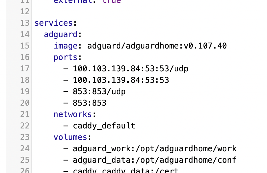 Client info is not correct · Issue #6333 · AdguardTeam/AdGuardHome · GitHub