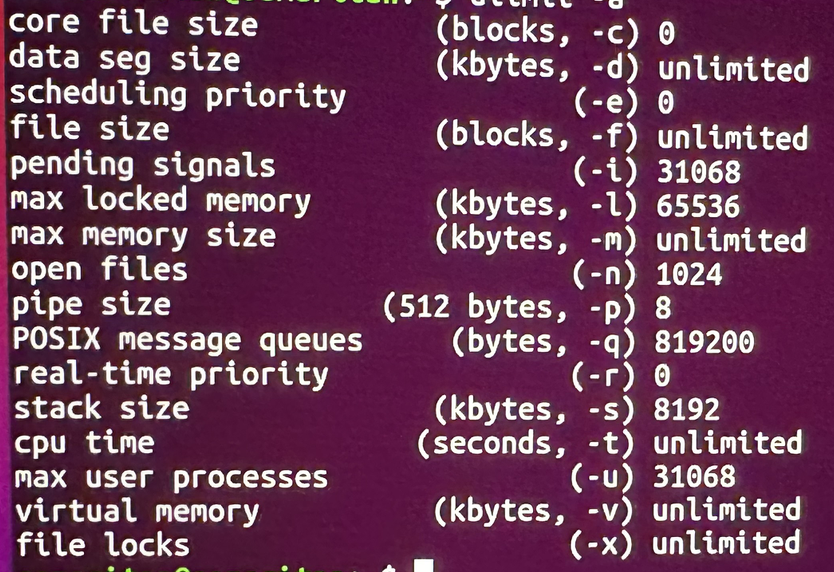 Mac: replay fails to run when ui is open · Issue #28776 · commaai/openpilot · GitHub