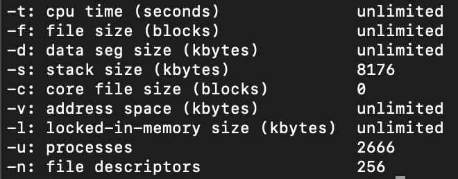 Mac: replay fails to run when ui is open · Issue #28776 · commaai/openpilot · GitHub