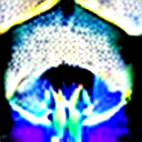 Generating images smaller than 512x512 gives only noises? · Issue #8 · YuxinWenRick/tree-ring ...