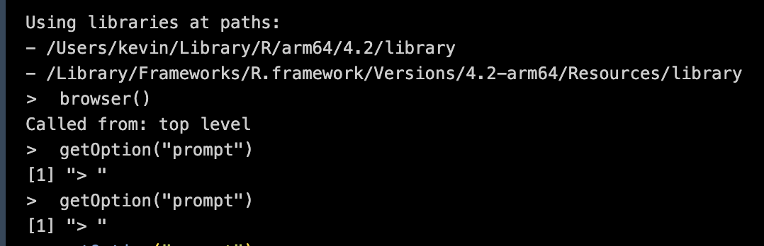 ark: debugger causes Console to get "stuck" · Issue #407 · posit-dev/positron · GitHub