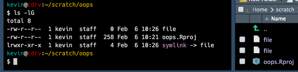 Symlink target, rather than symlink name, shown in files pane · Issue ...