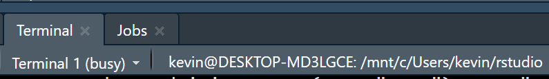terminal working directory path shown is inconsistent · Issue #3472 · rstudio/rstudio · GitHub