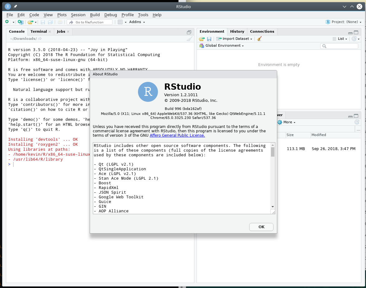 Start Rstudio 1.2.1004 shows nothing. · Issue #3531 · rstudio/rstudio ...