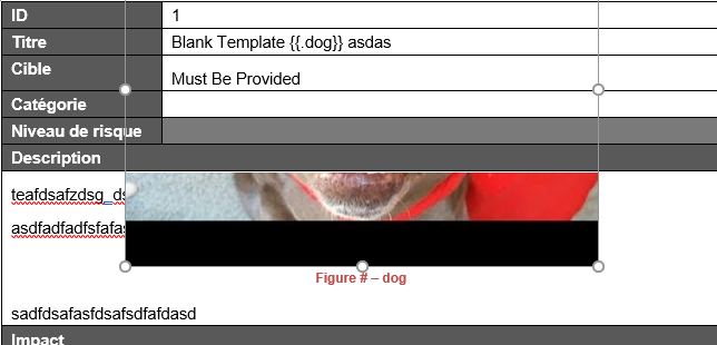 Evidence in Rich Text field placement issue · Issue #159 · GhostManager/Ghostwriter · GitHub