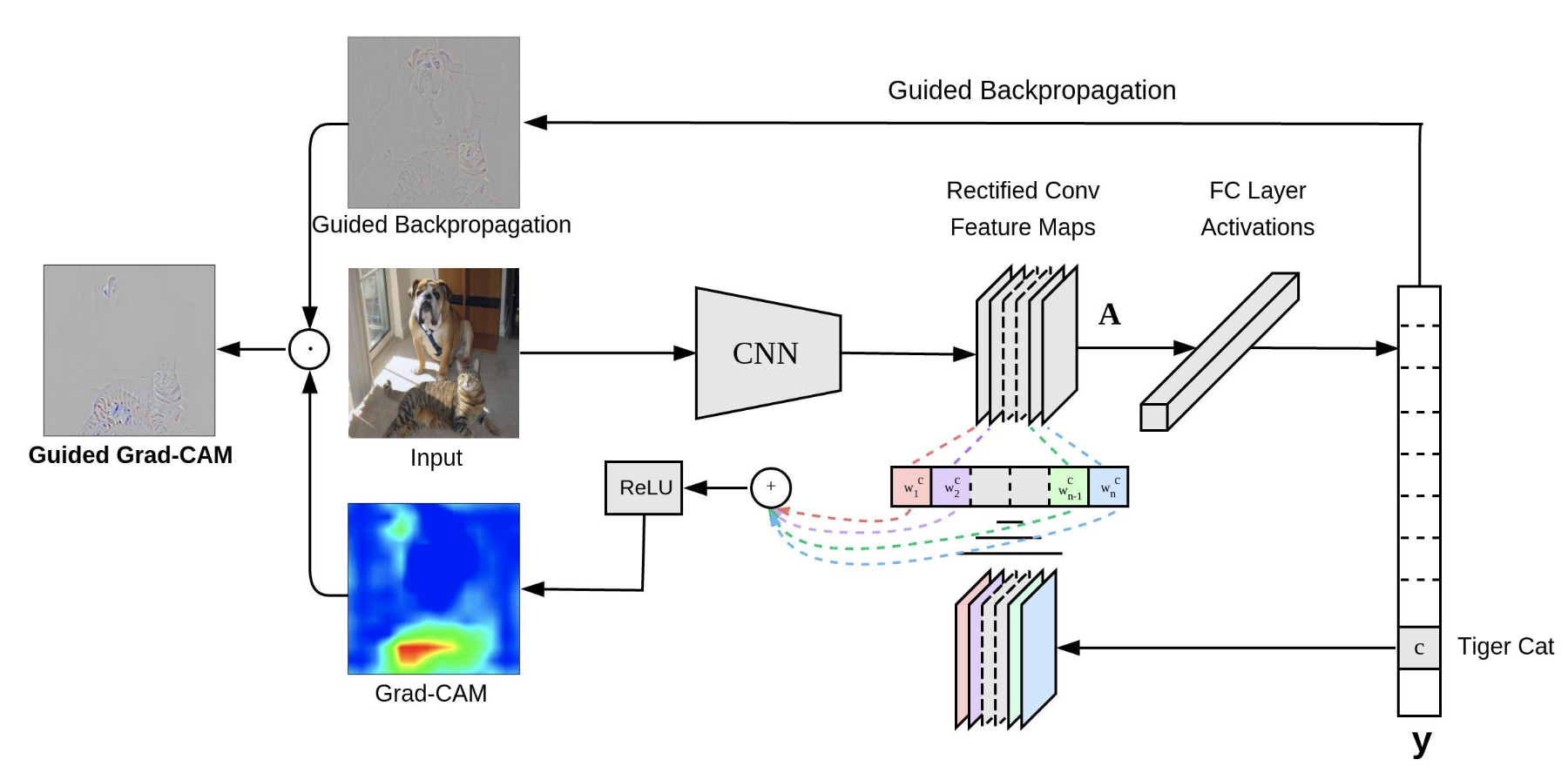 Gradient-weighted Class Activation Mapping - Grad-CAM- · Issue #13 ...