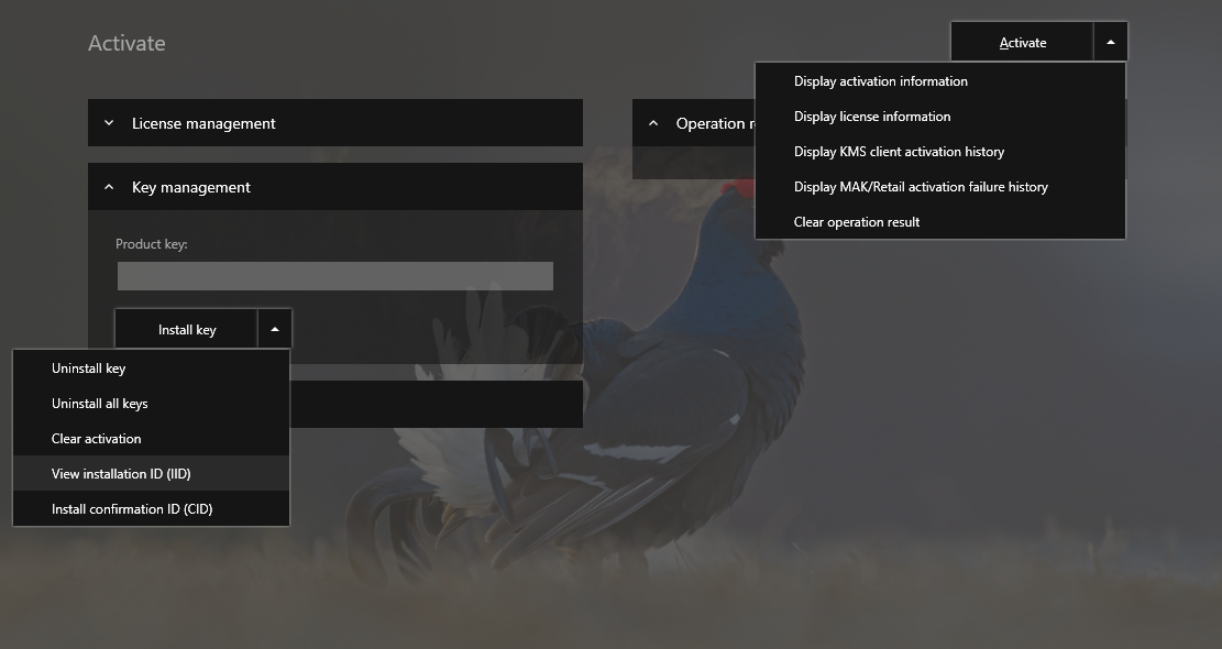 Activation errors · Issue #231 · YerongAI/Office-Tool · GitHub