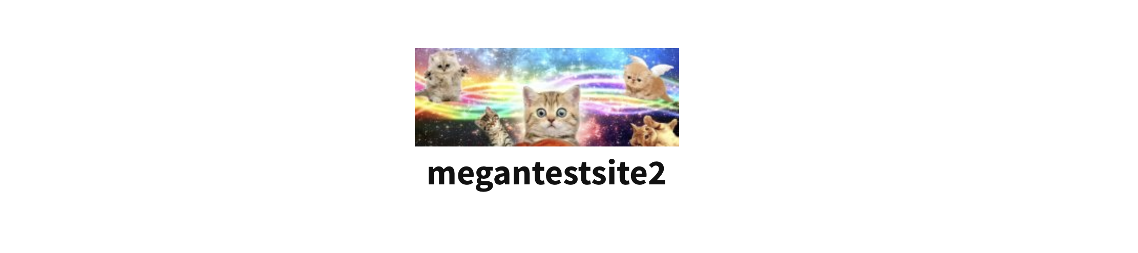 Exford: Logo Sizing and Compression · Issue #1363 · Automattic/themes ...