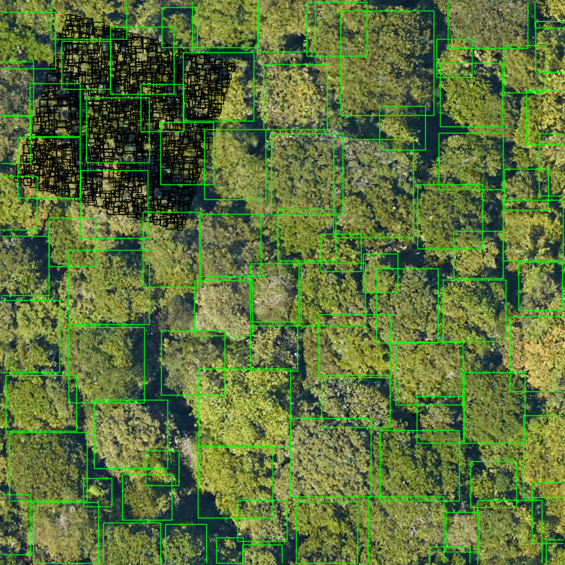 Evaluation Score On The Test File Is 0 · Issue 73 · Weecology Deepforest · Github