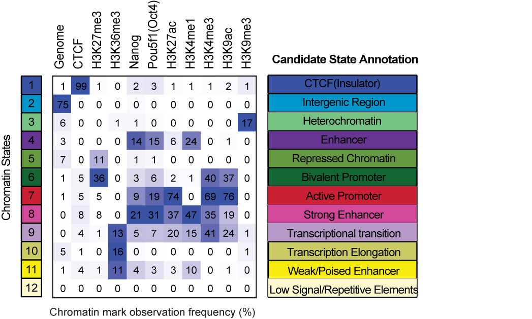 GitHub - guifengwei/ChromHMM_mESC_mm10: Chromatin States Map in mouse ...
