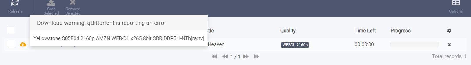 sonarr shows incorrect qbittorrent status · Issue #198 · rogerfar/rdt-client · GitHub