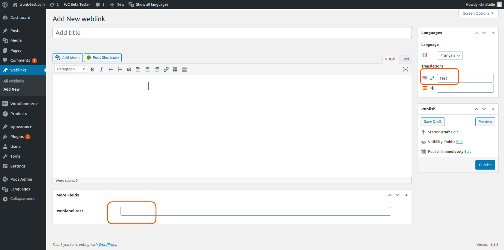 When Creating A Translation The Values Filled In The Pods Custom Fields Are Not Loaded · Issue