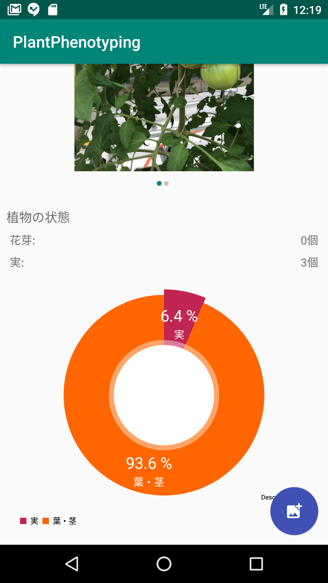 GitHub - y0ssh1/PlantPhenotype: A part of graduation work