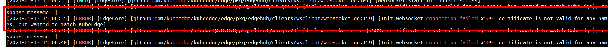 [Init websocket connection failed x509: certificate is not valid for any names, but wanted to ...