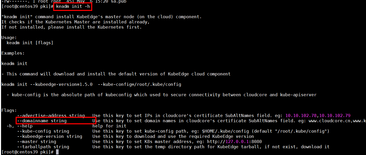 [Init websocket connection failed x509: certificate is not valid for any names, but wanted to ...