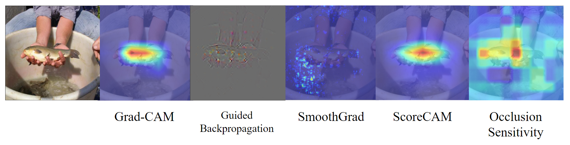 GitHub - MartinGer/DNN-Visualizations: Post-hoc visualization methods ...