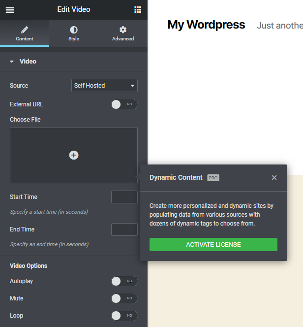 Video Widget - Dynamic Tag in Self Hosted requesting license activation ...