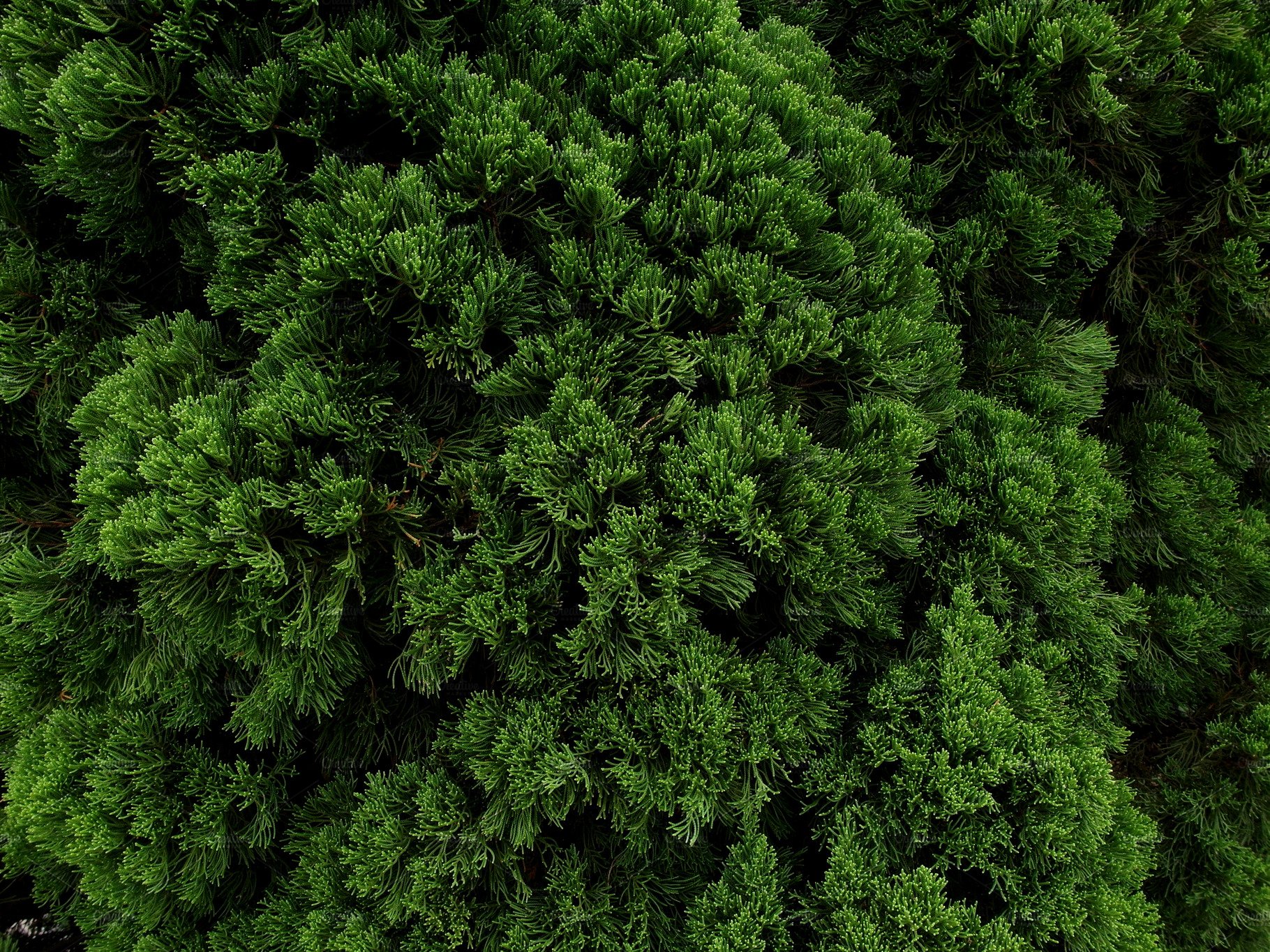 GitHub - goofyseeker311/ellipsoidraycastingtextured1r2alighting ...