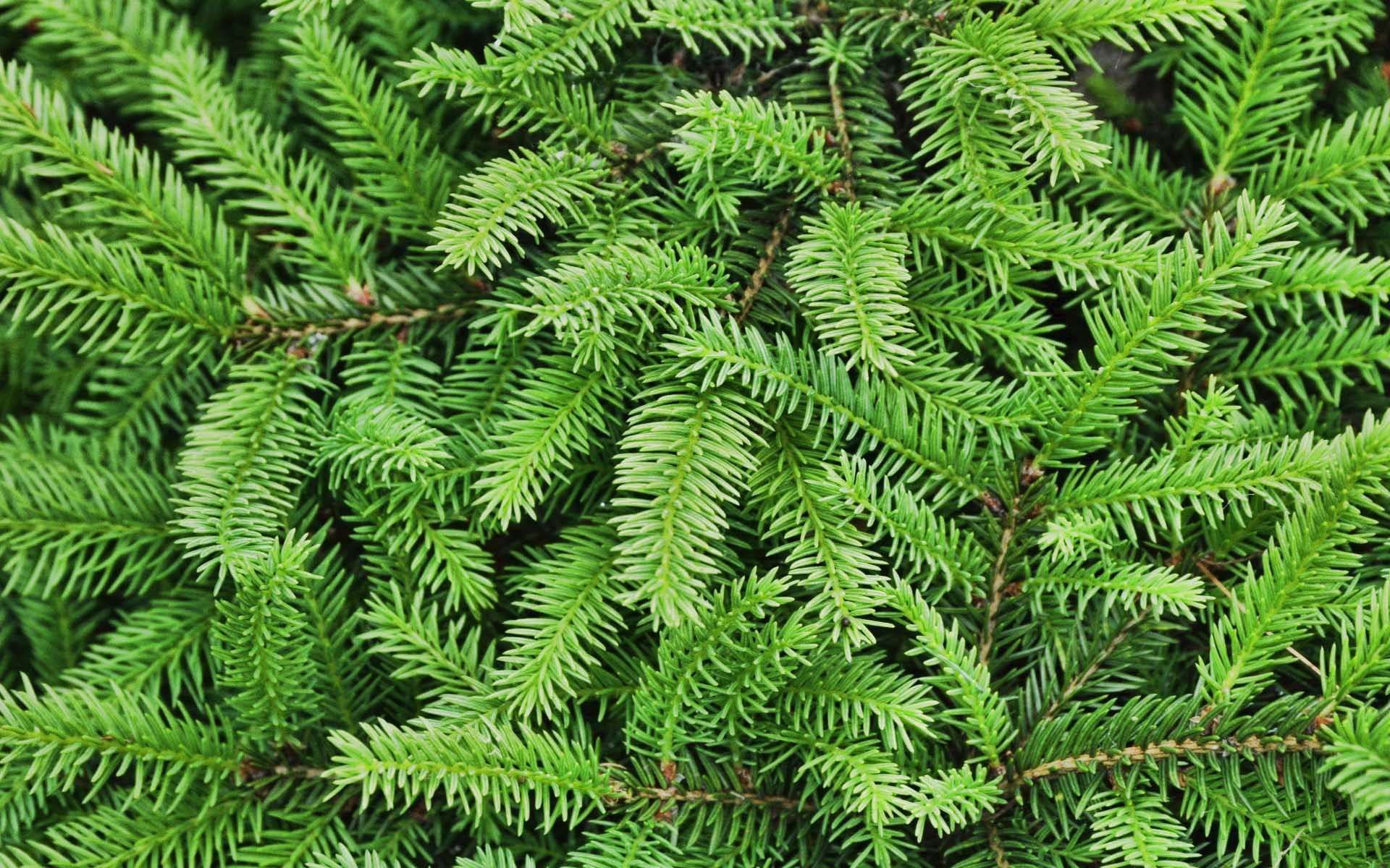 GitHub - goofyseeker311/ellipsoidraycastingtextured1r2alighting ...