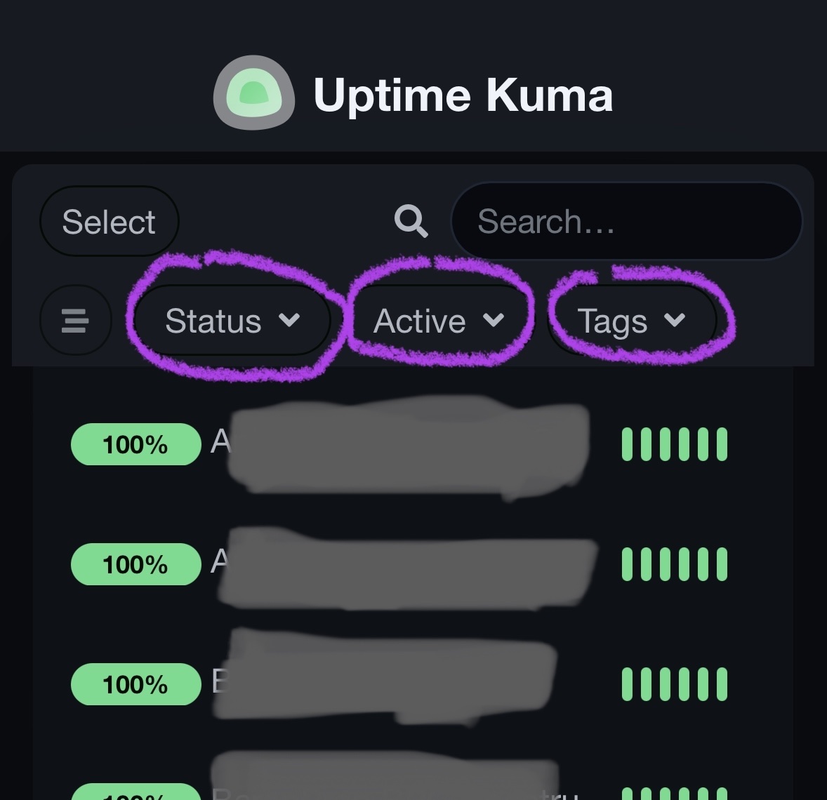 1.23 - filter dropdown menus don't work on iOS · Issue #3618 · louislam/uptime-kuma · GitHub