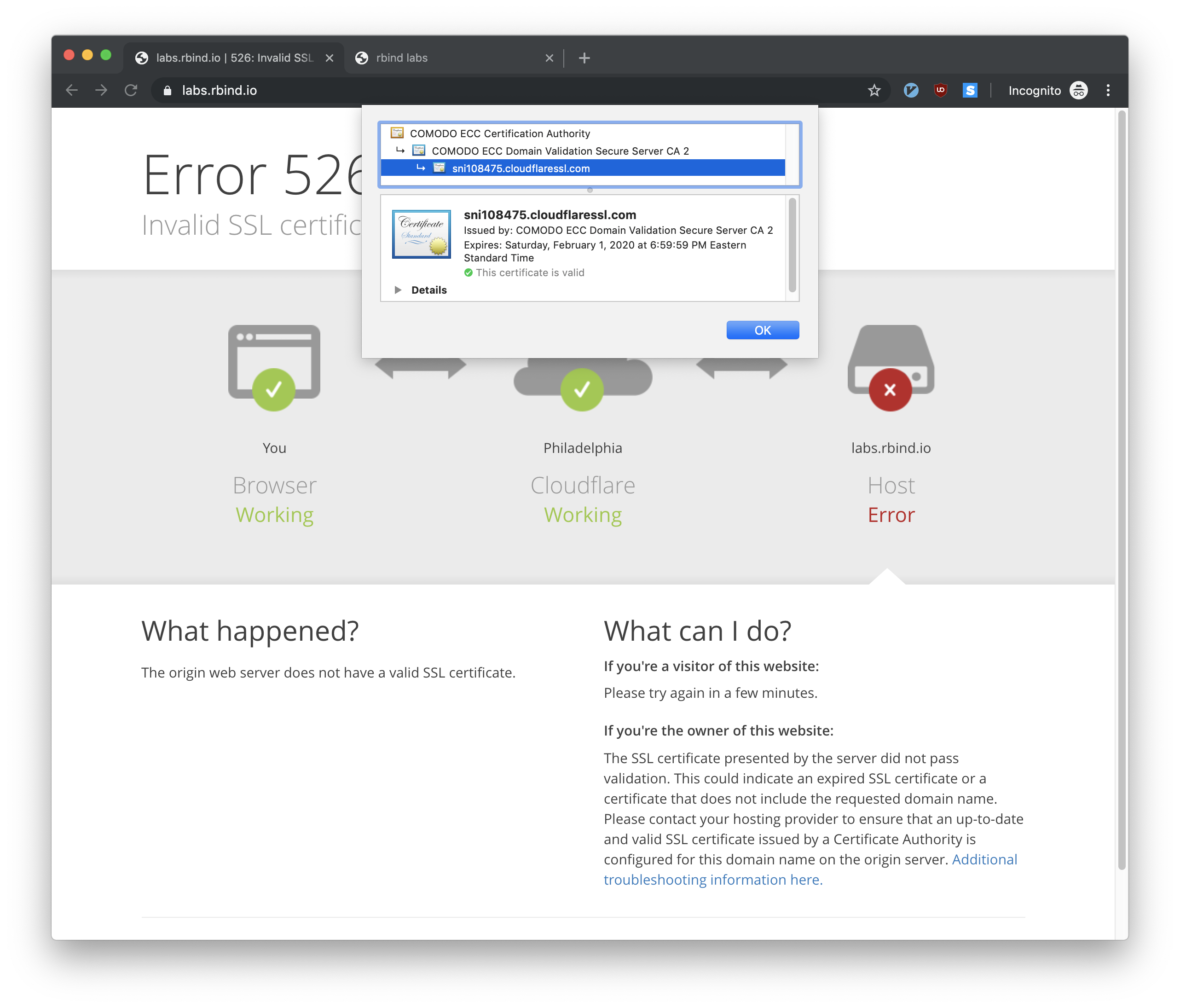 Investigate intermittent issues of "Invalid SSL Certificate" · Issue #462 · rbind/support · GitHub