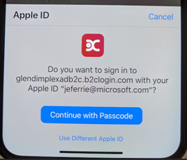 [Bug] B2C Sign-In with AppleID not redirecting back to application on iOS when using system ...