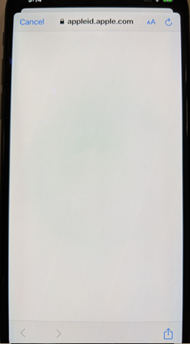 [Bug] B2C Sign-In with AppleID not redirecting back to application on iOS when using system ...