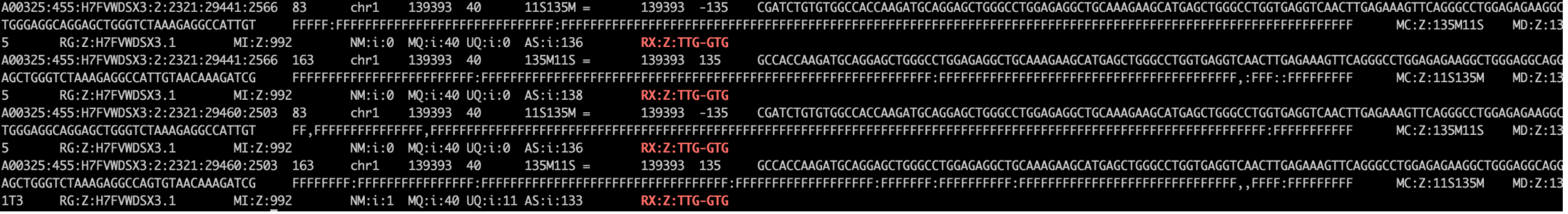 Consensus base qualities are all N after CallMolecularConsensusReads · Issue #808 ...