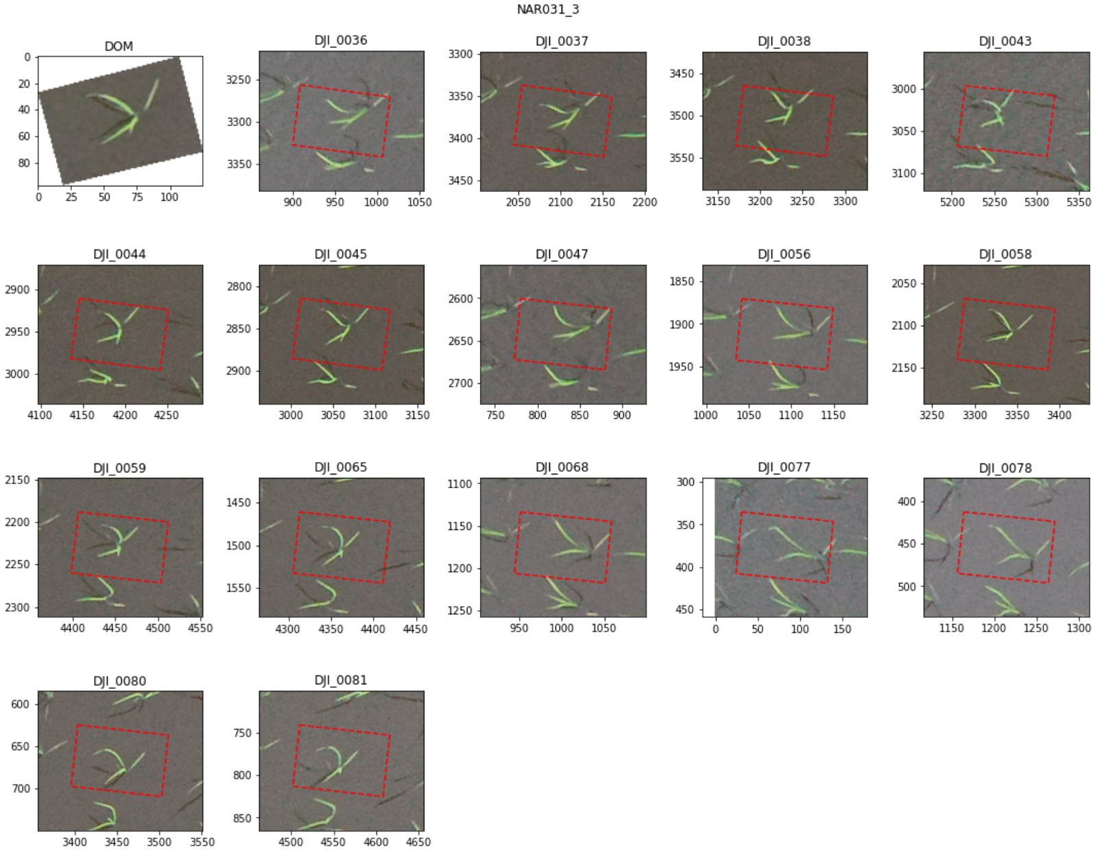 provide visualize function to preview back2raw results · Issue #21 · UTokyo-FieldPhenomics-Lab ...