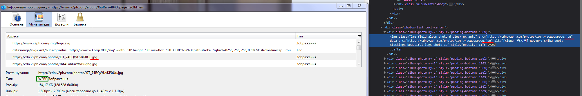 incorrect* format of saved images in V2PH for WebP · Issue #4791 ...