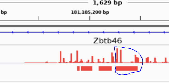 How footprint.bed is determined? · Issue #129 · CostaLab/reg-gen · GitHub