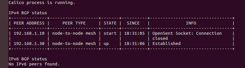 calico/node is not ready: BIRD is not ready: BGP not established(K8S 1.15.1,calico/cni:v3.8.1 ...