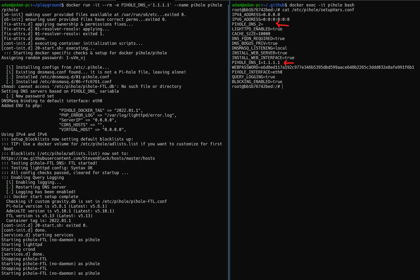 set single DNS server using PIHOLE_DNS_ environment variable · Issue #929 · pi-hole/docker-pi ...