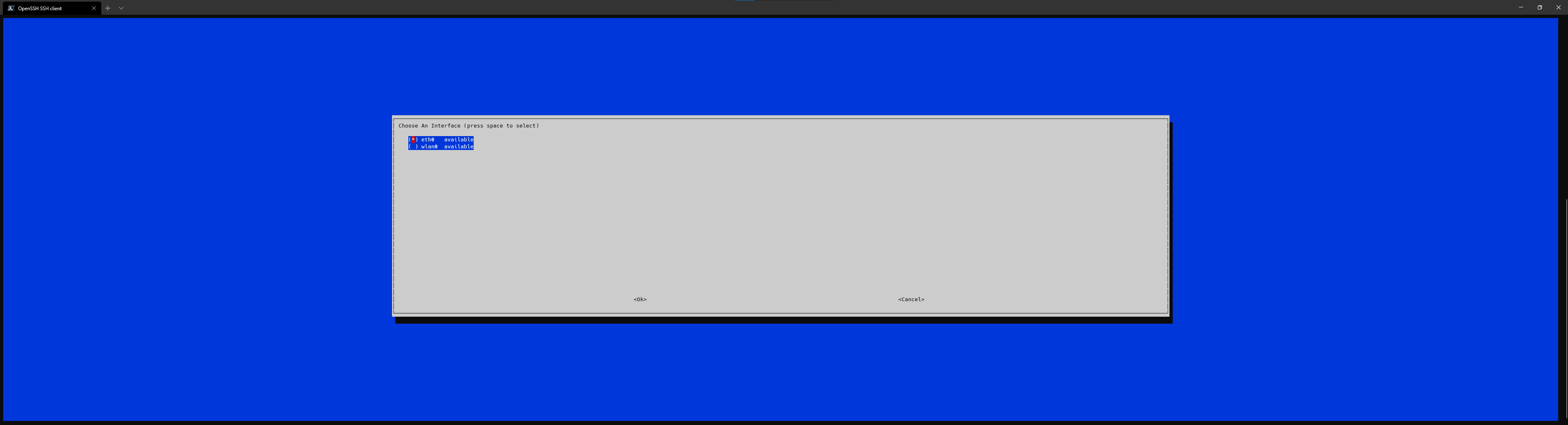 [Installer] One-step install command leads to minimal whiptail sizes · Issue #3323 · pi-hole/pi ...