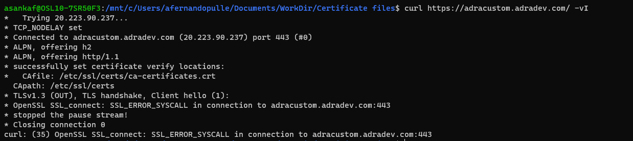 certificate not valid error with container app (but works on app service) · Issue #229 ...