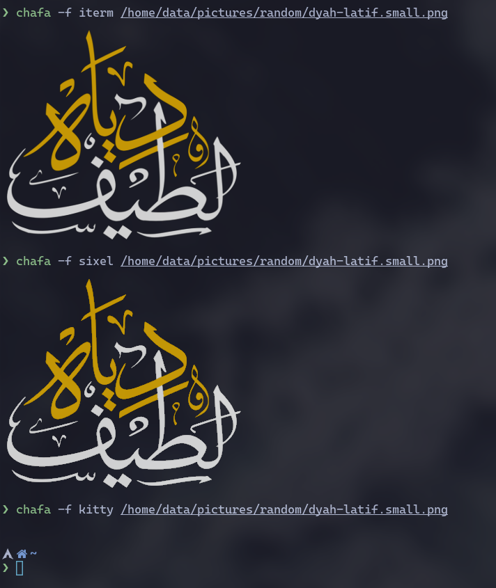 Not rendering with `--format=kitty` in terminal that has Kitty Image Protocol · Issue #114 ...