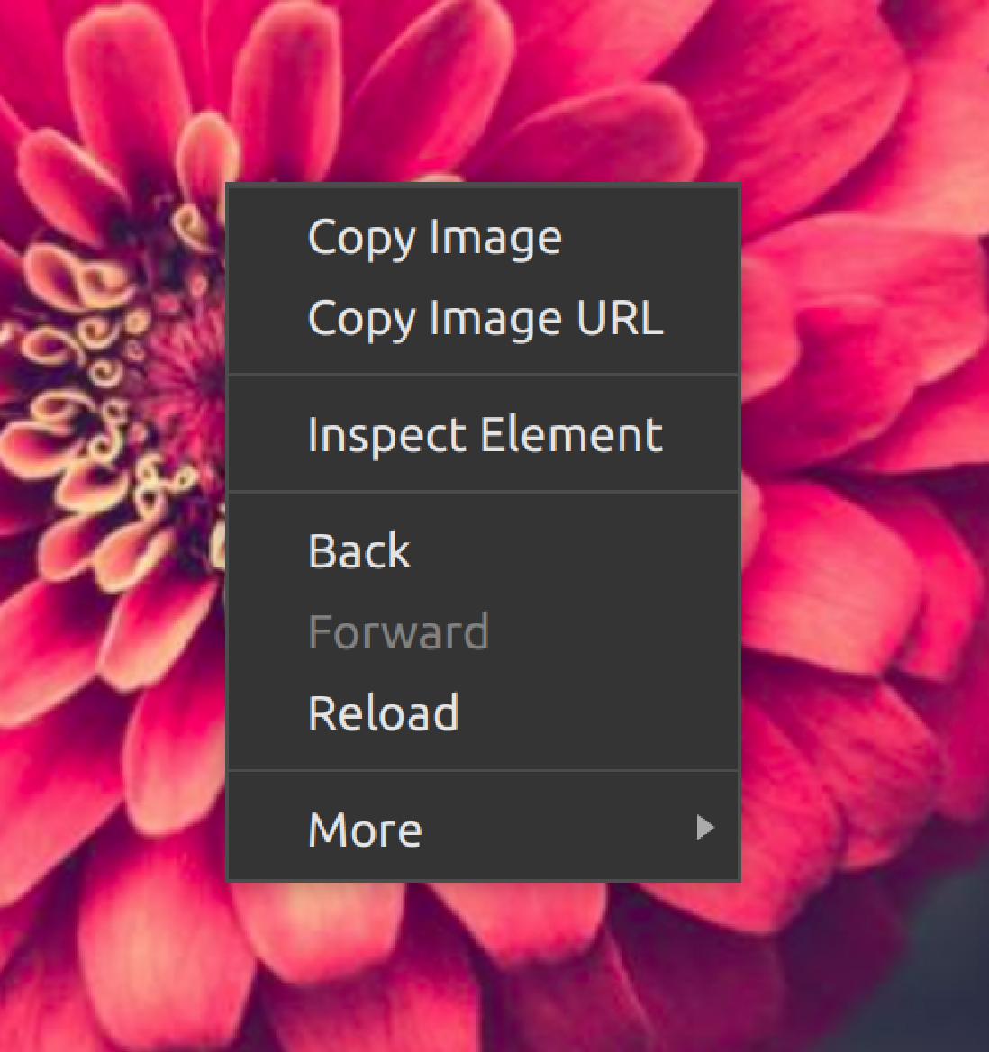 feature: 'Save image as' is missing · Issue #1196 · webcatalog ...