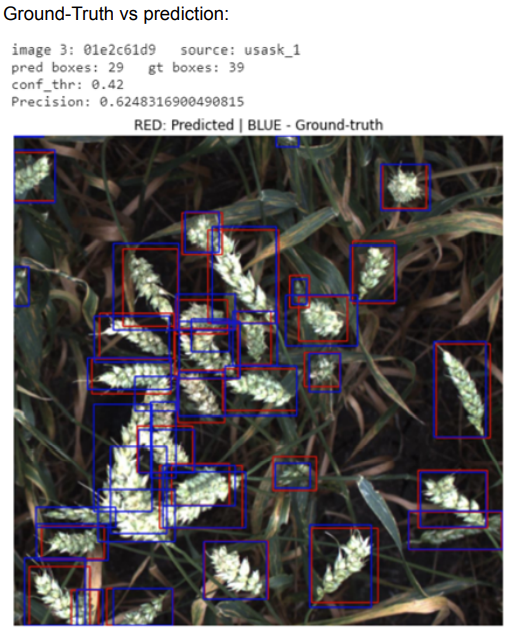 GitHub - VladyslavKozhukhov/Global-Wheat-Detection: The Global Wheat ...