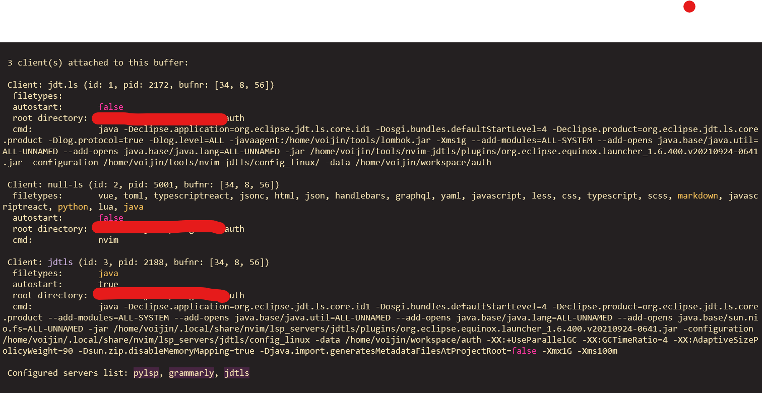 When I open java file I see in lsp info that both jdtls and jdt.ls are available and they both ...