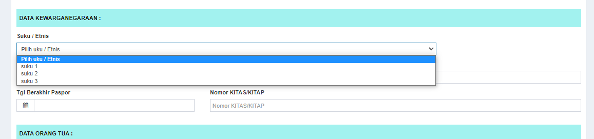 Penambahan Form atau Baris Input Data Suku/Etnis Warga di Biodata ...