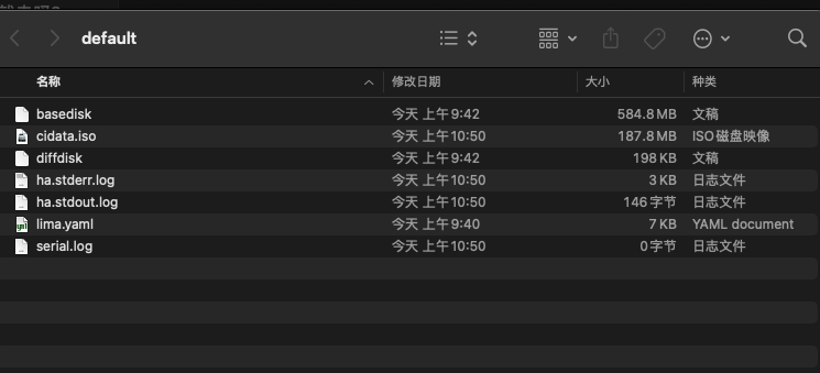 limactl start can not work when reboot system · Issue #236 · lima-vm/lima · GitHub