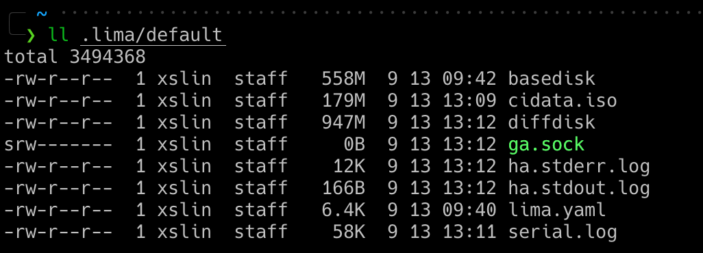 limactl start can not work when reboot system · Issue #236 · lima-vm/lima · GitHub