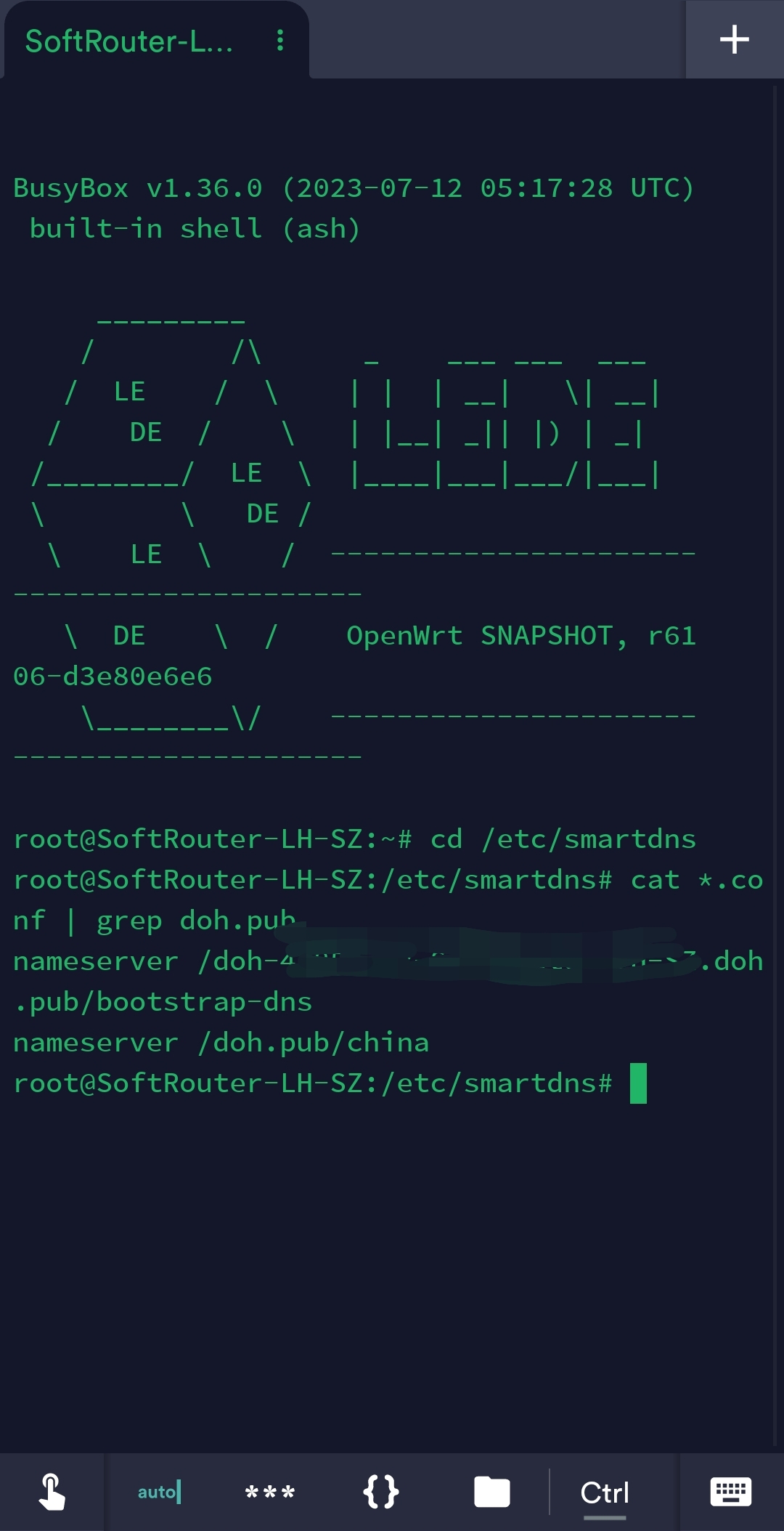 加入唯一的域名形式的DoH服务器及bootstrap dns使用流程有问题 · Issue #1442 · pymumu/smartdns · GitHub
