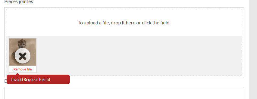 Not working: i get an invalid request token after dropping a file · Issue #11 · heimrichhannot ...