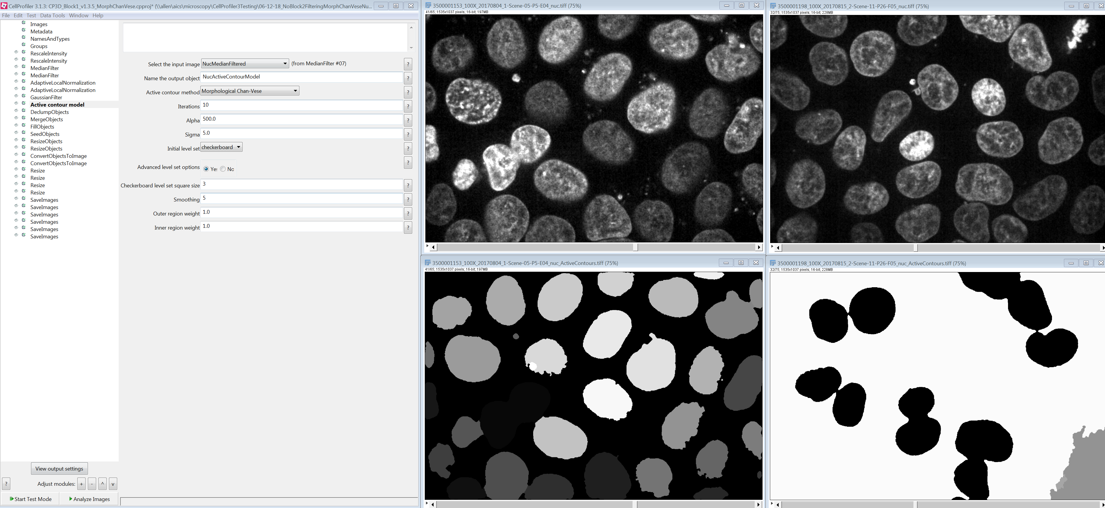Morphological Chan-Vese inverts foreground to background relationship · Issue #3183 · scikit ...