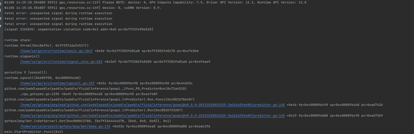 goapi并发执行引起数据竞争，导致painc · Issue #58810 · PaddlePaddle/Paddle · GitHub